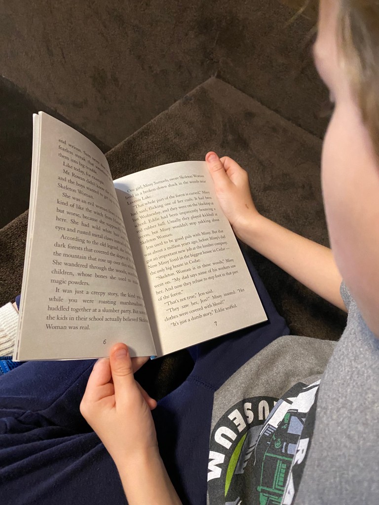 Novels for 5-8 year old boys - Welcome to RinkydinkMum